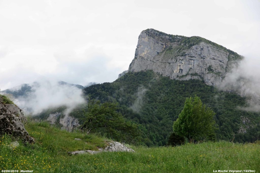 ROCHE VEYRAND - ADAPAR